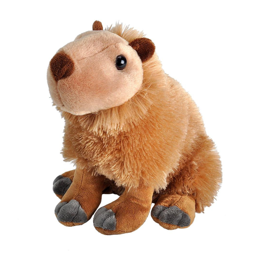 Cuddlekins Eco Capybara 30cm | Teddy Bears, Beanie Boos & Soft Toys ...