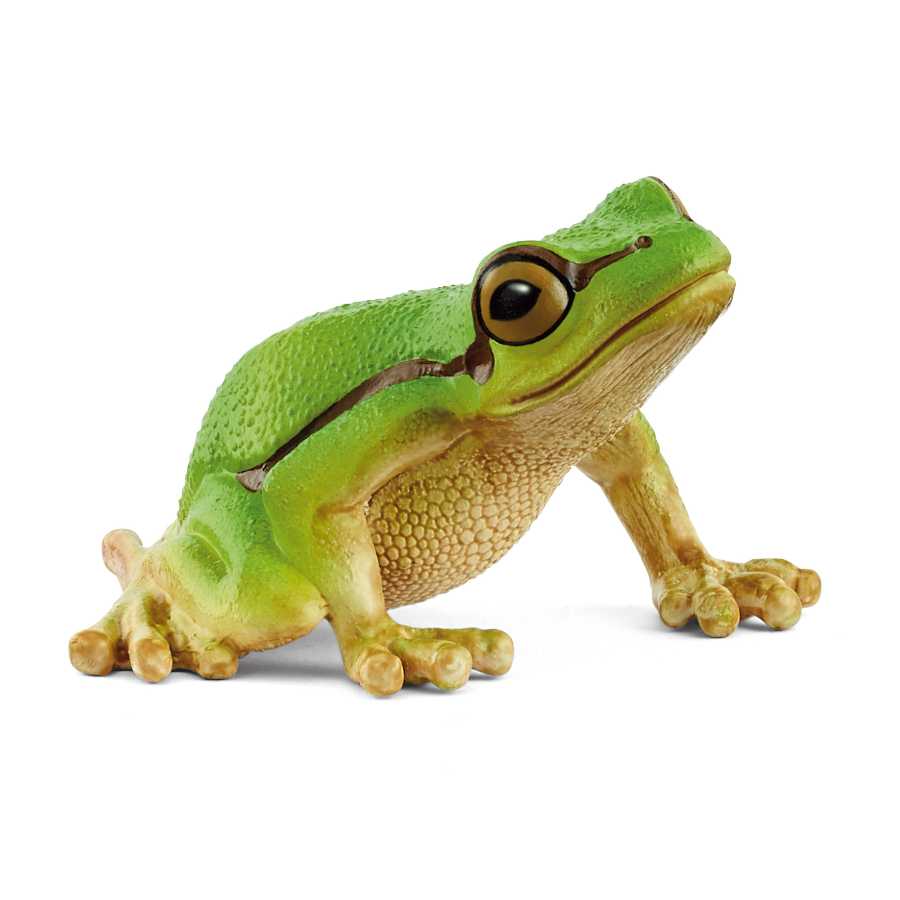 Schleich European Tree Frog | Toys | Casey's Toys