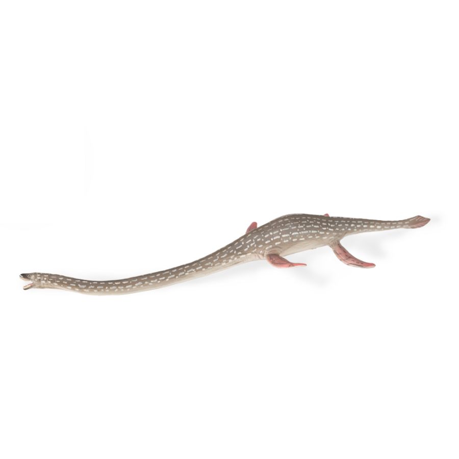 Collecta Large Elasmosaurus | Toy Brands A-K | Casey's Toys